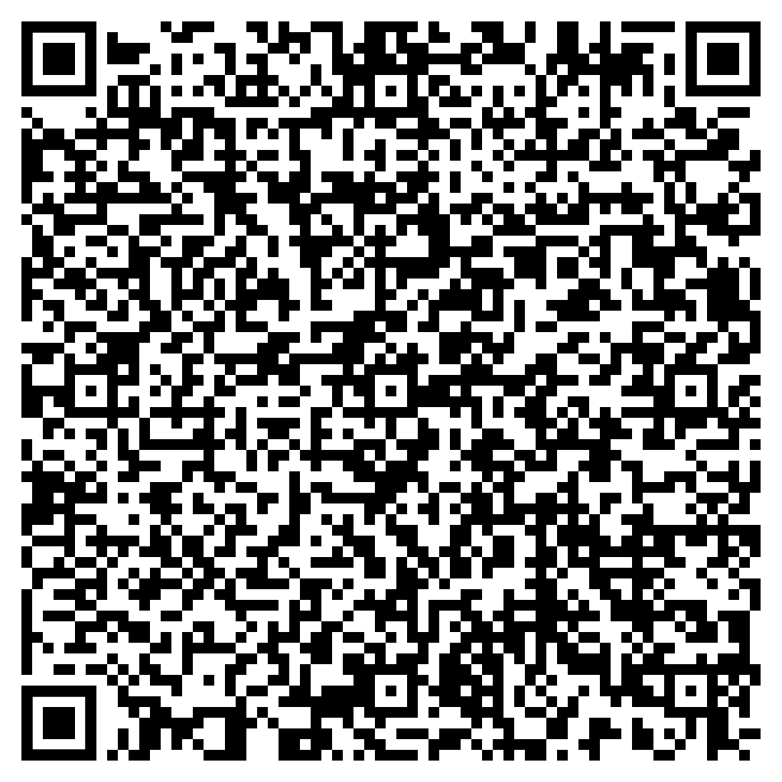 INICIO - Avann Technologies LLC